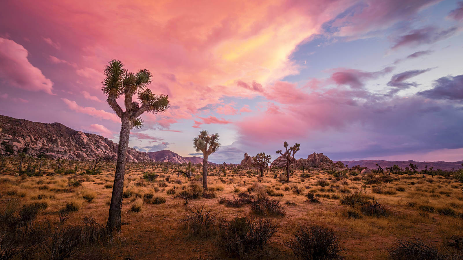 National Parks Magazine · National Parks Conservation Association