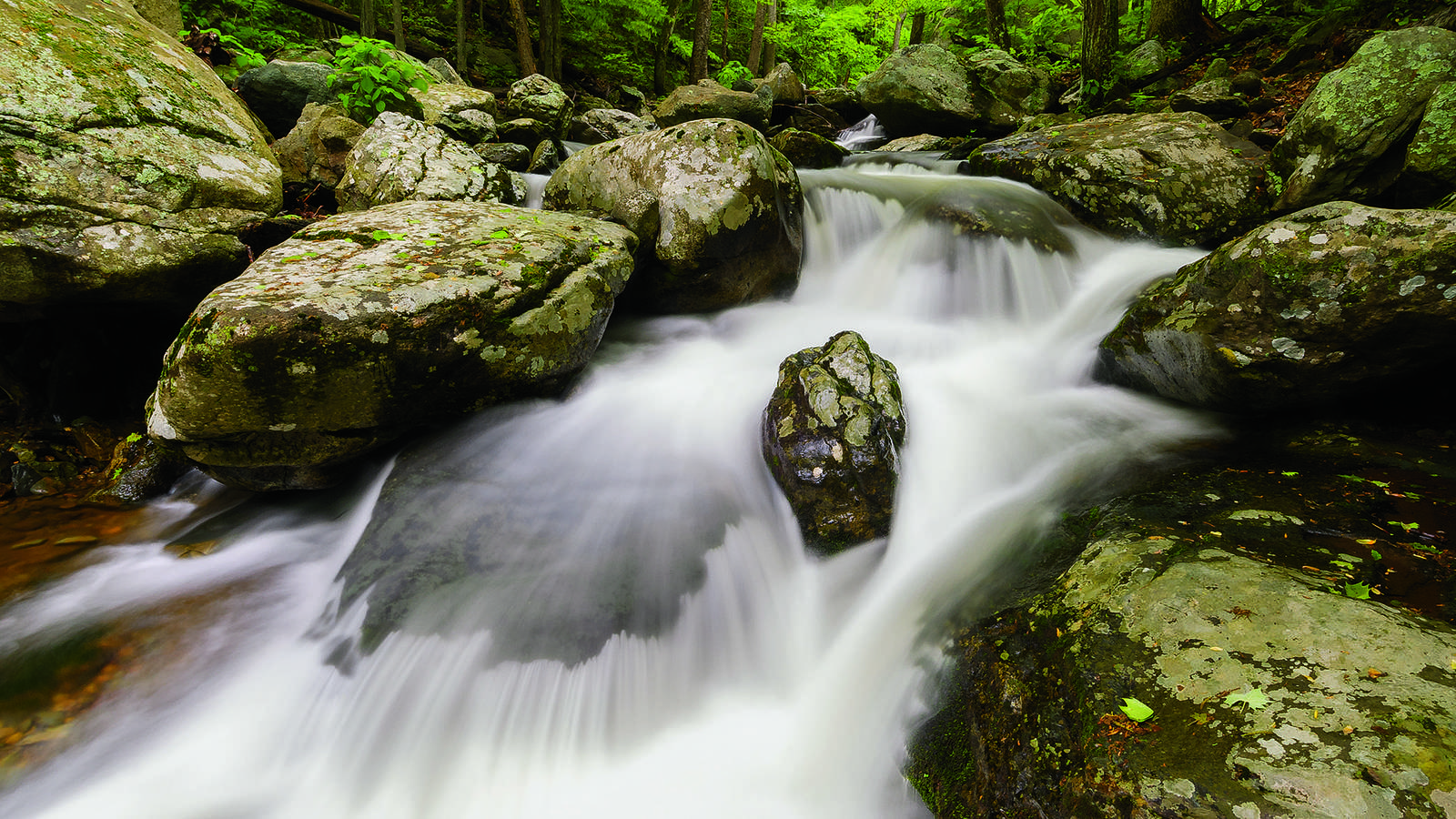 What the Streams Say · National Parks Conservation Association