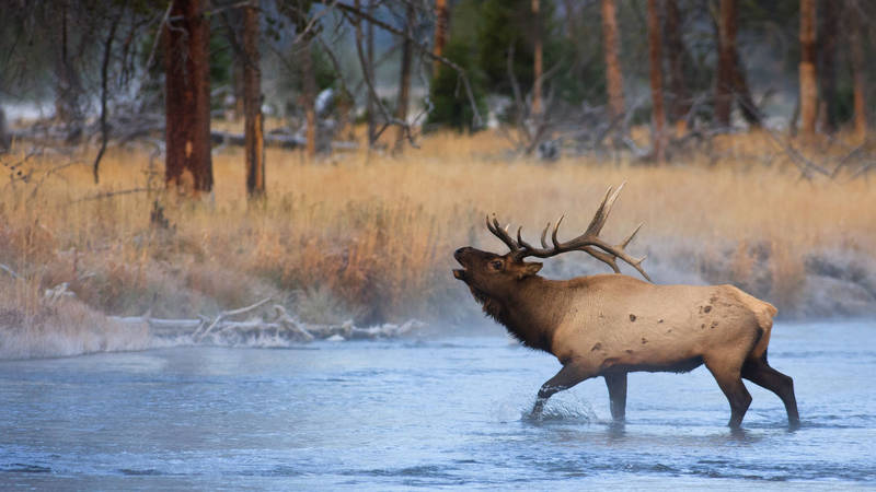 Contact NPCA · National Parks Conservation Association