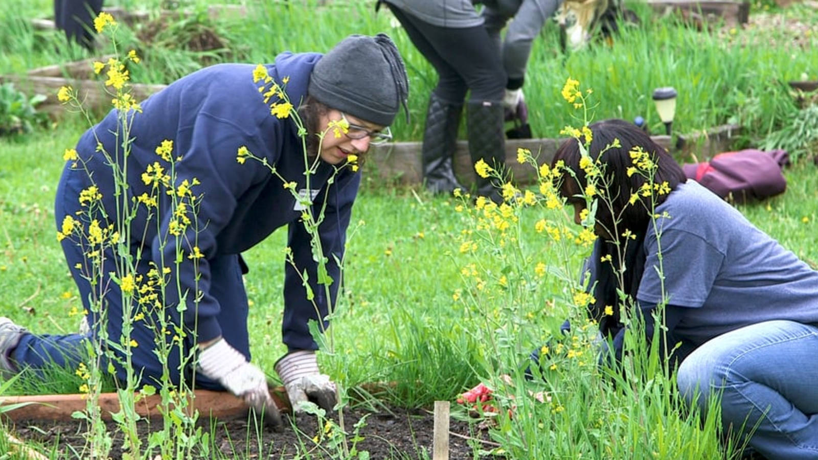 The Difference We’re Making · National Parks Conservation Association