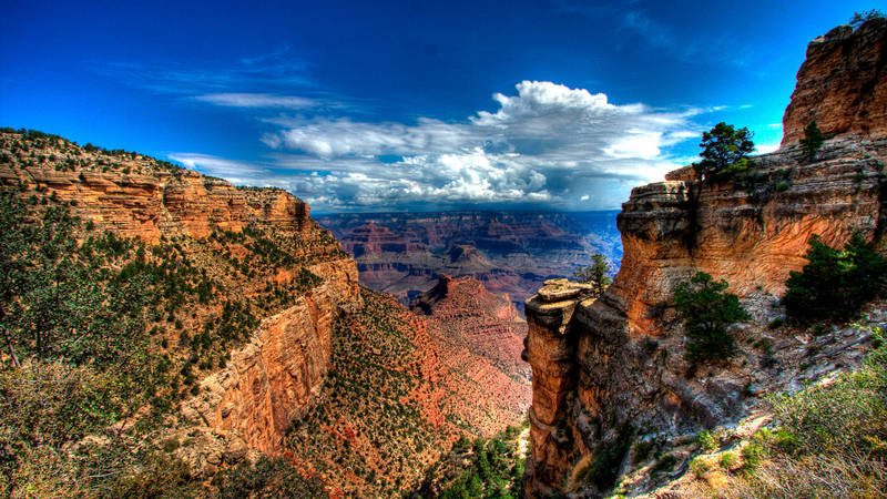 Contact NPCA · National Parks Conservation Association