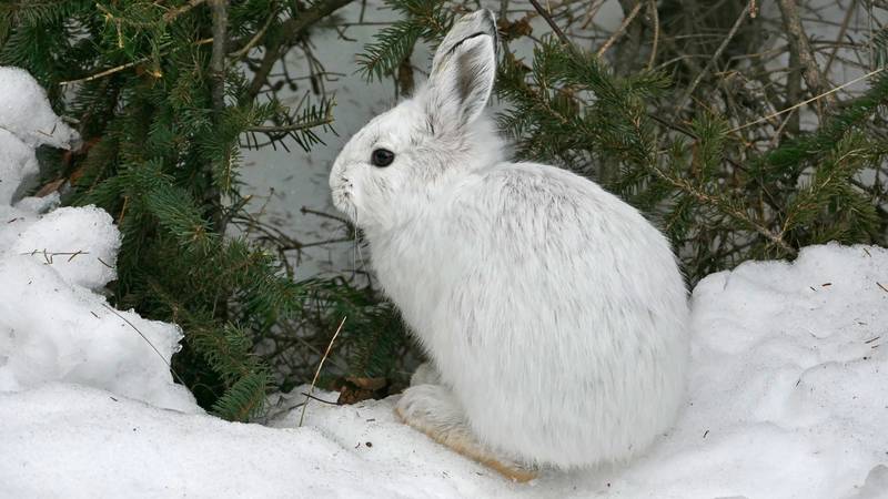 NPCA’s Writing on National Parks · National Parks Conservation Association