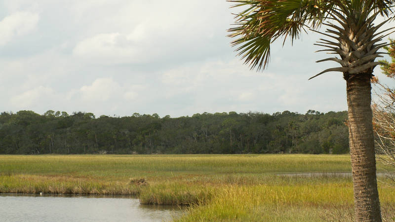 Timucuan · National Parks Conservation Association