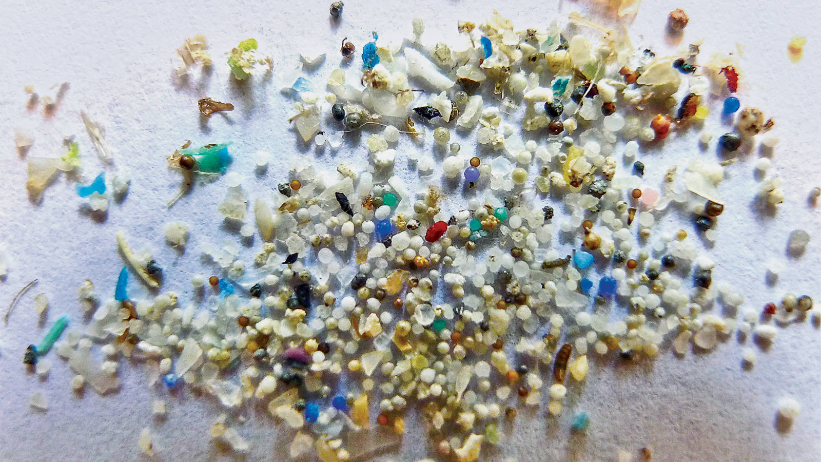 Small Plastic, Big Problem · National Parks Conservation Association