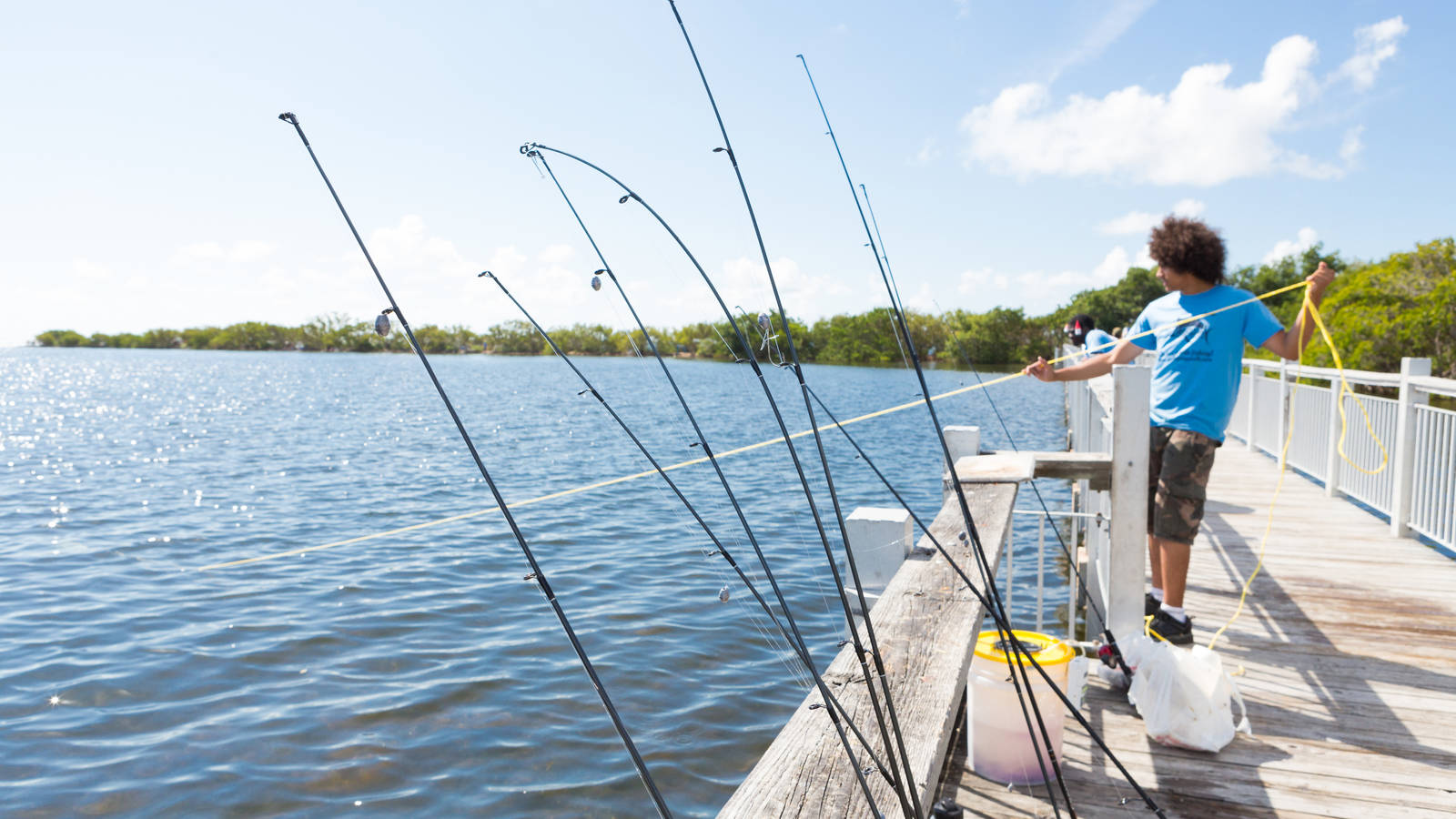 Bringing People & Parks Together · National Parks Conservation Association