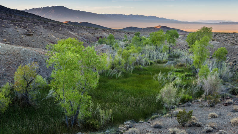 Interior Order Weakens Wilderness Stewardship of up to 80% of National ...