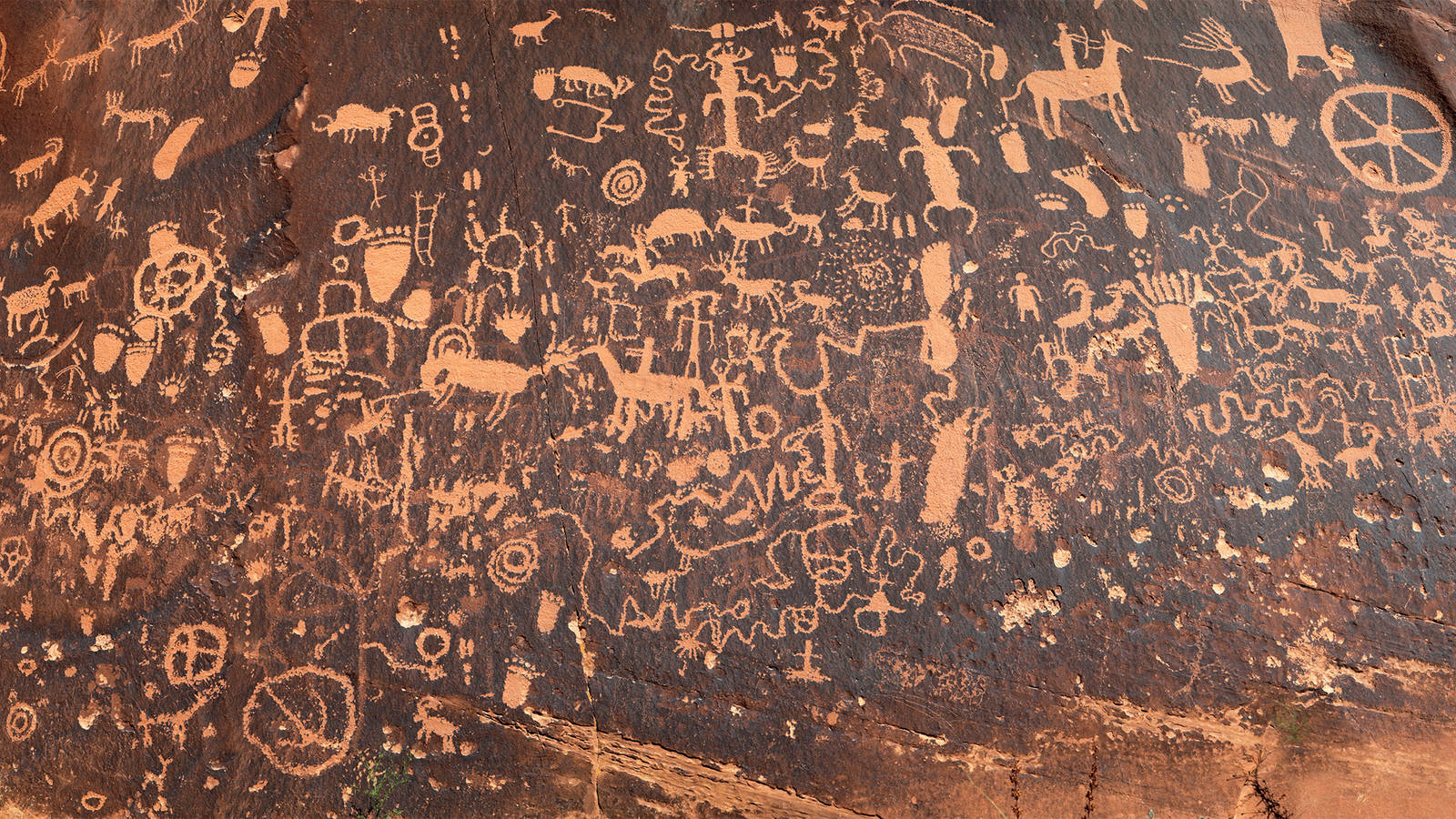 NPCA: The Book · National Parks Conservation Association