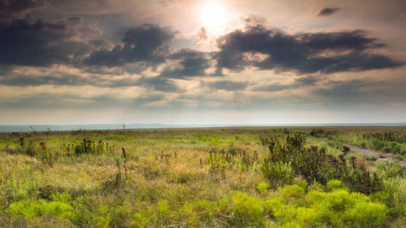 Tallgrass Prairie · National Parks Conservation Association