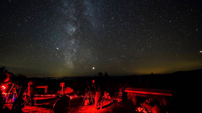 Bison Infographic · National Parks Conservation Association