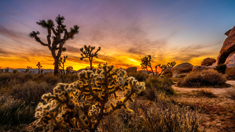 Major Rollback Threatens Conservation in Public Land Management ...