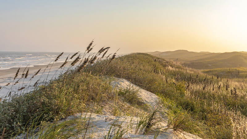 Vanishing Sea Meadows · National Parks Conservation Association