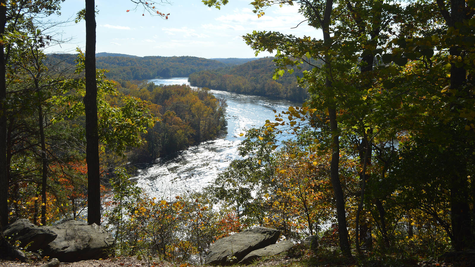 A Rodent Reappearance · National Parks Conservation Association