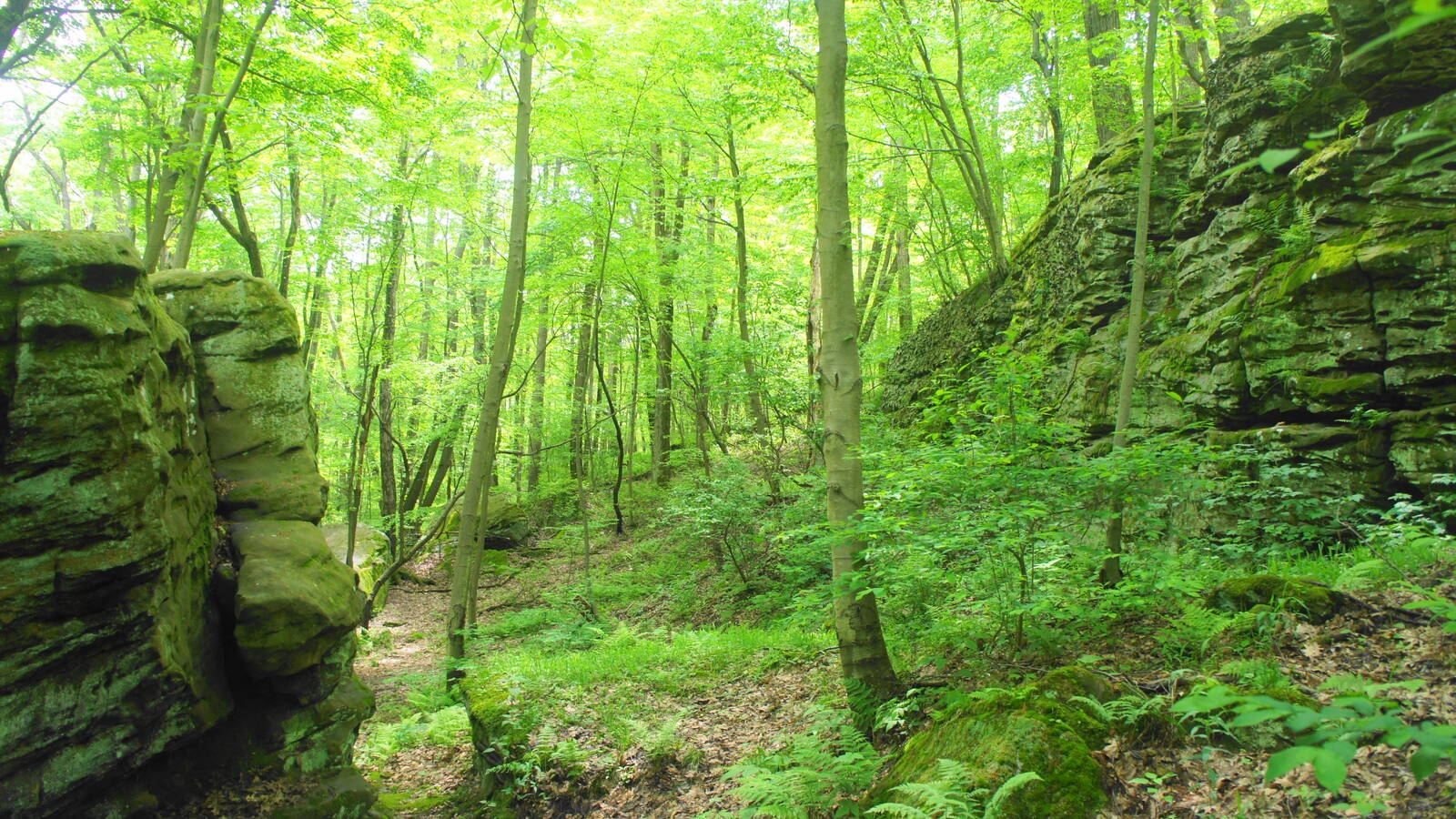 Lead Proof · National Parks Conservation Association