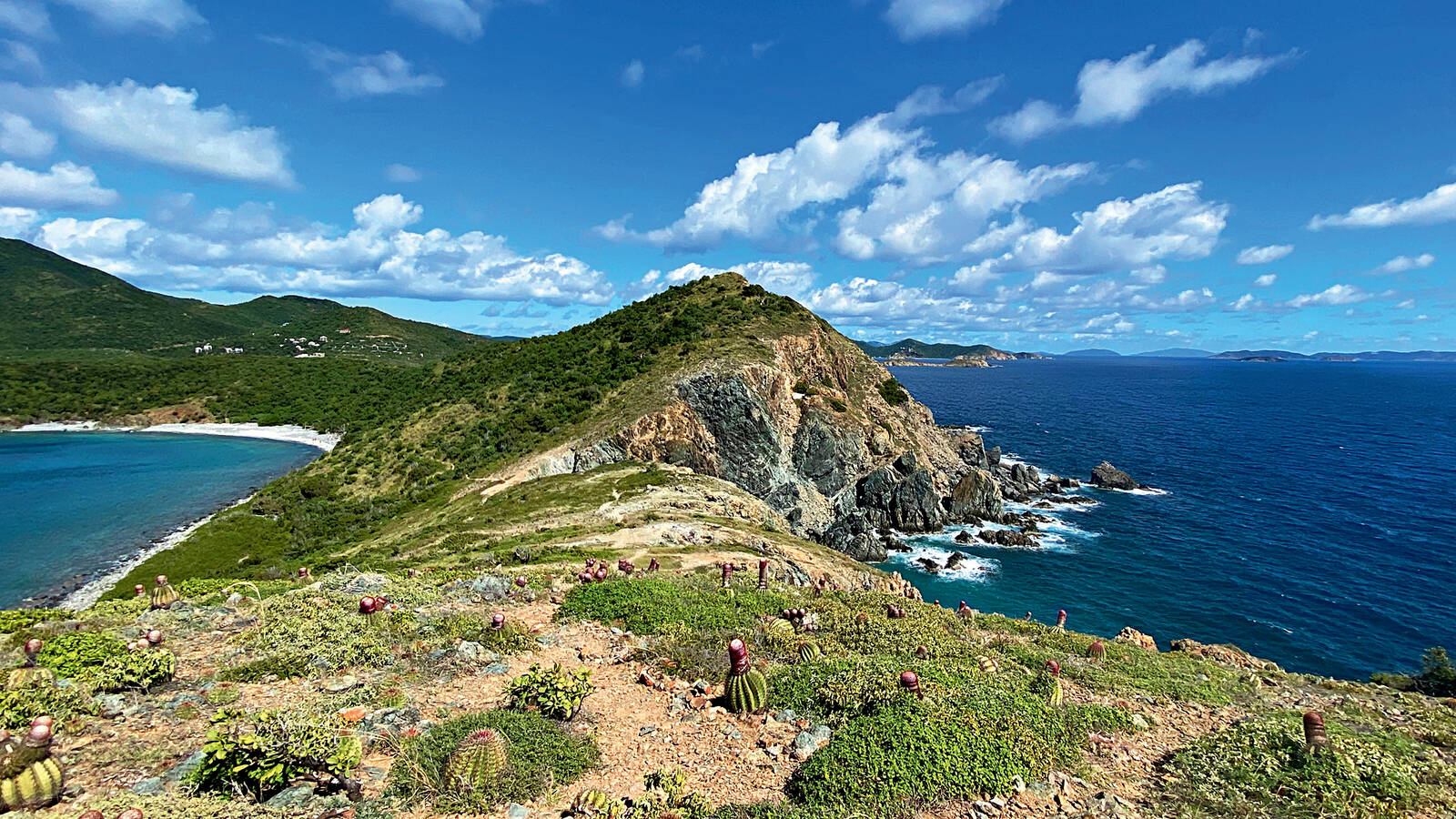 A Rebellion Reappraised · National Parks Conservation Association