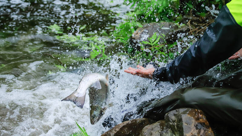 7 Facts About Bats in Honor of National Bat Week · National Parks ...