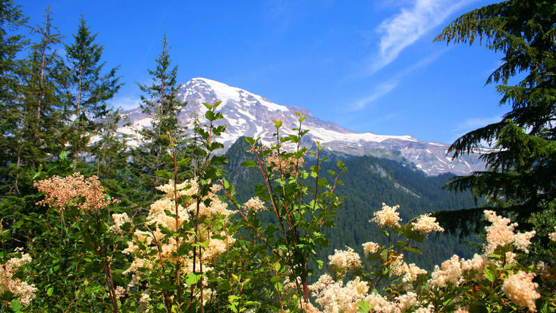 NPCA’s Writing on National Parks · National Parks Conservation Association