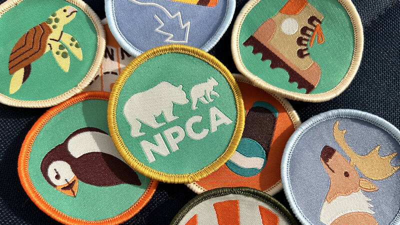 Meet 9 Endangered National Park Animals · National Parks Conservation ...