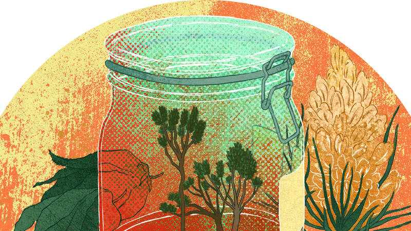 National Parks Magazine · National Parks Conservation Association