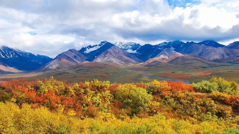 Our Advocacy · National Parks Conservation Association