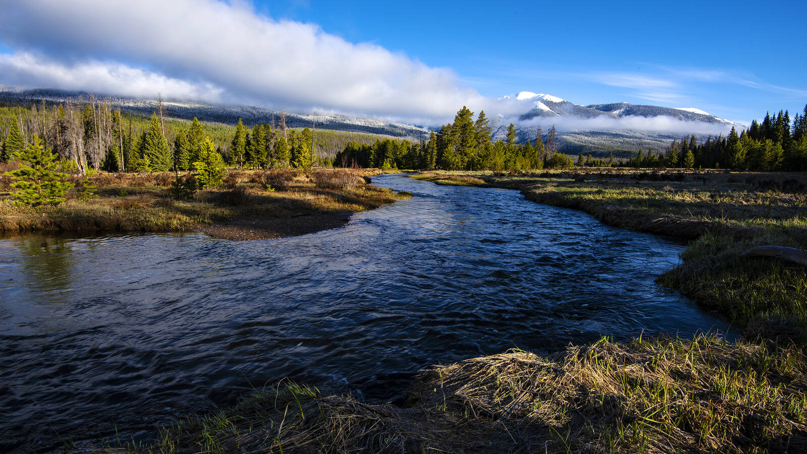 If You Build It · National Parks Conservation Association