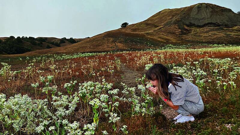 National Parks Magazine · National Parks Conservation Association