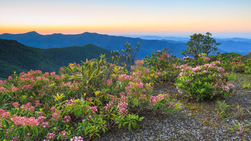 Our Advocacy · National Parks Conservation Association