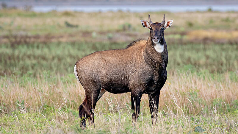 National Parks Magazine · National Parks Conservation Association