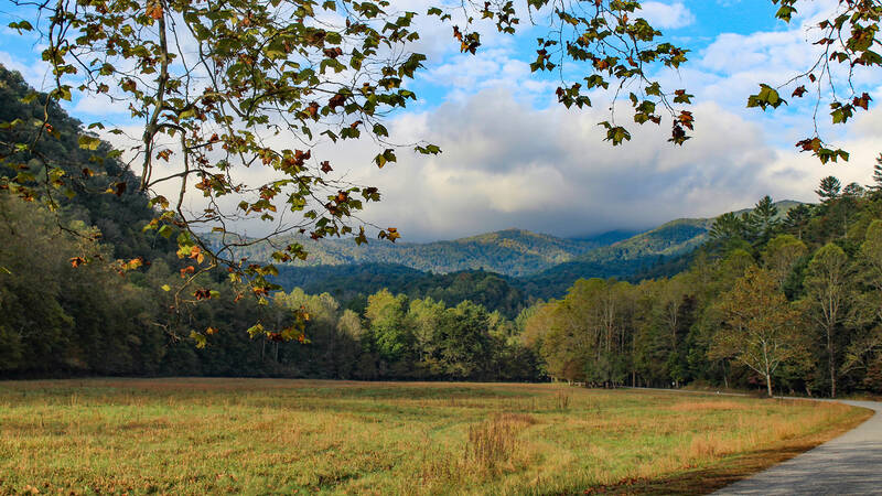Sequoia · National Parks Conservation Association