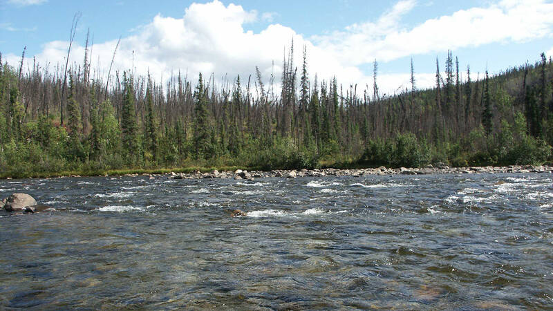 NPCA Finds Air Pollution Harms 97% of National Parks · National Parks ...