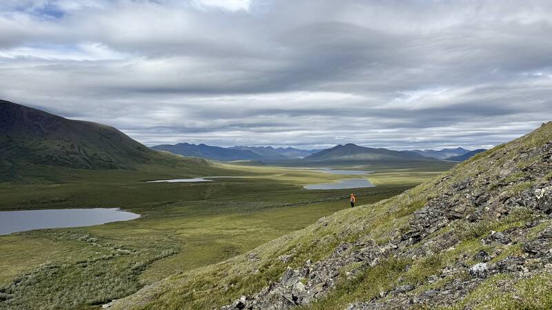 5 Reasons We Need to Save Our Coral Reefs · National Parks Conservation Association