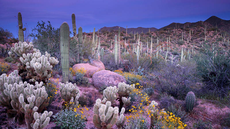 NPCA’s Writing on National Parks · National Parks Conservation Association