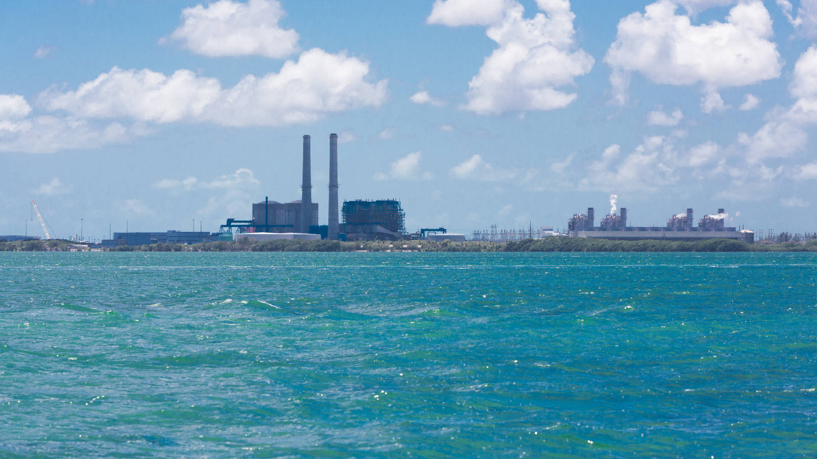 Protect Biscayne From Nuclear Expansion National Parks Conservation protect-biscayne-from-nuclear-expansion-national-parks-conservation