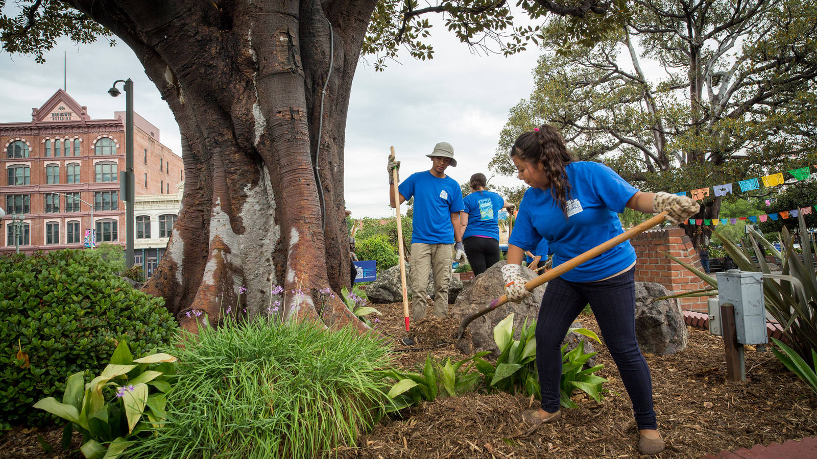 Find Your Voice · National Parks Conservation Association